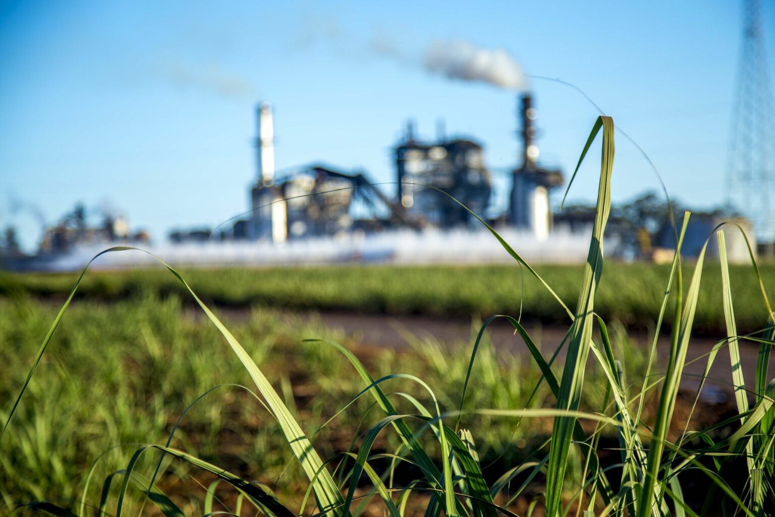 Pioneering Green Energy | TRIGeN Sustainable Solutions